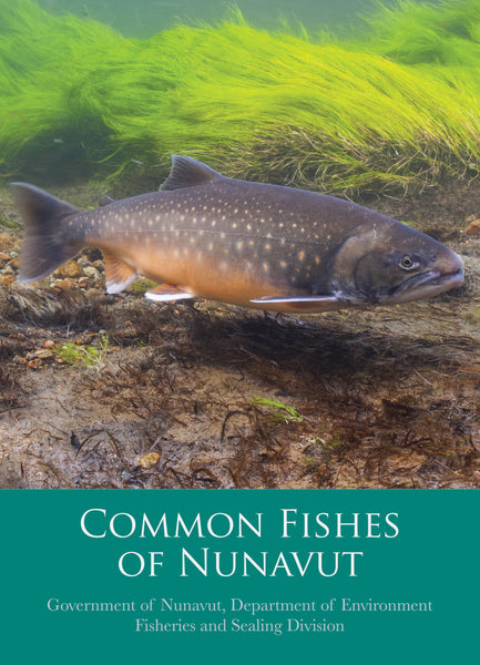 Common Fishes of Nunavut – Inhabit Media